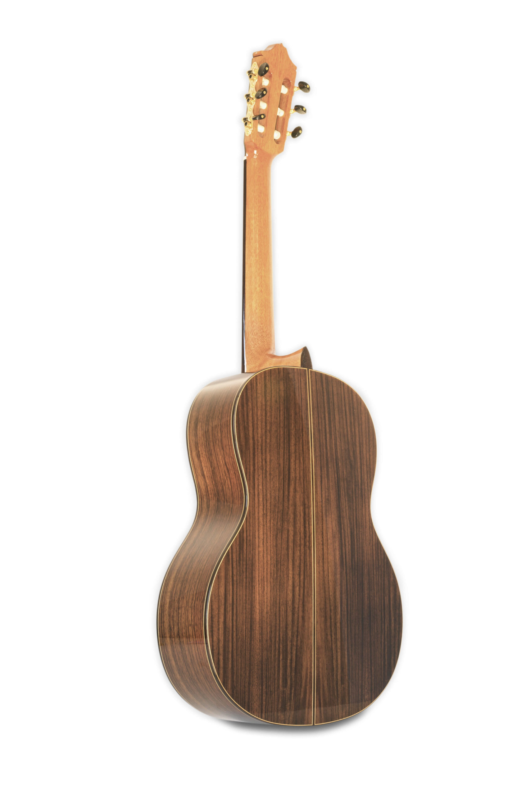 Arrius MPR-100 S – new model by Arrius Guitars